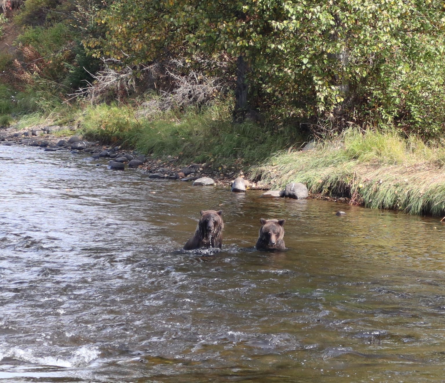Talok Fisheries - Authentic Indigenous Seafood